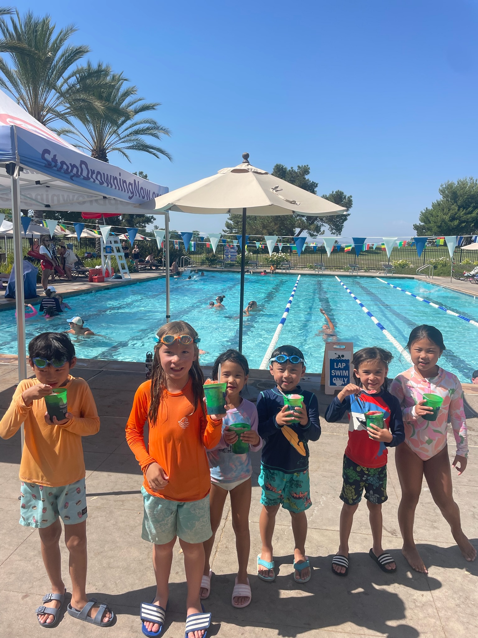 AVAC Birthday Parties - Premier Swim Academy